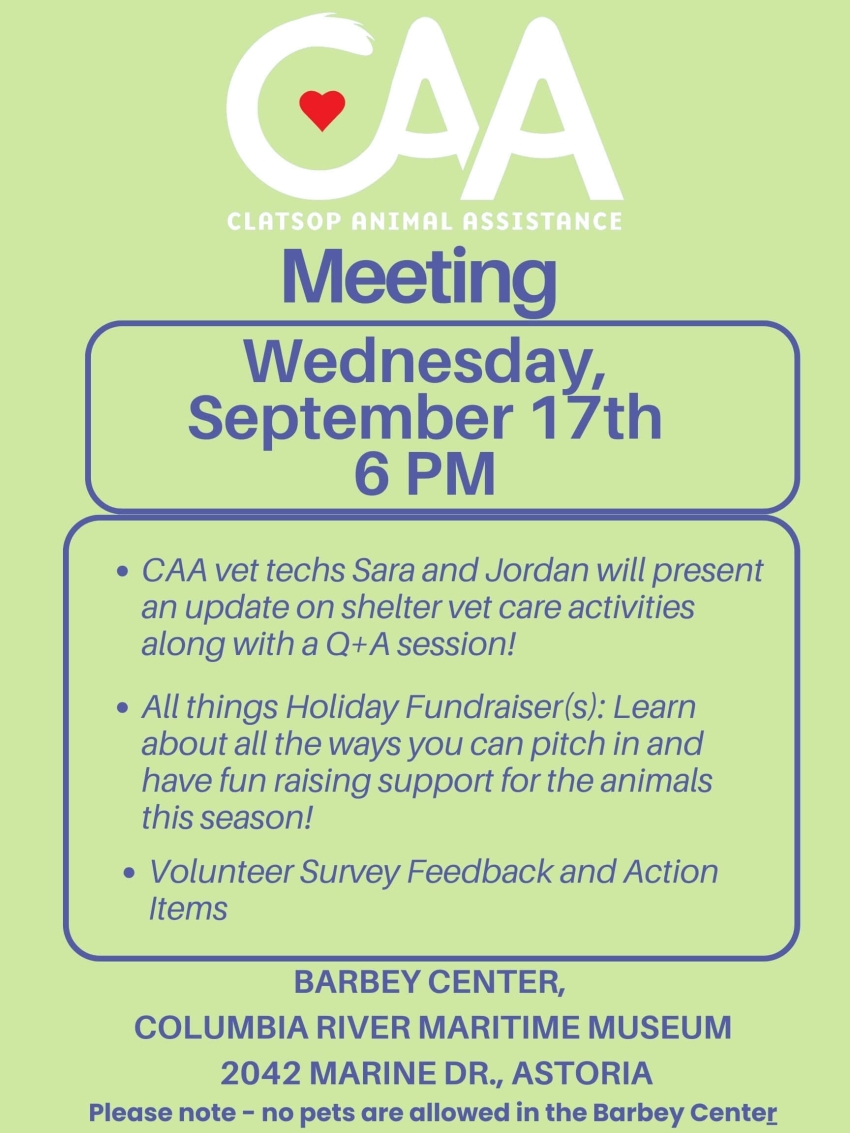 CAA All Member Meeting Fall 2025
